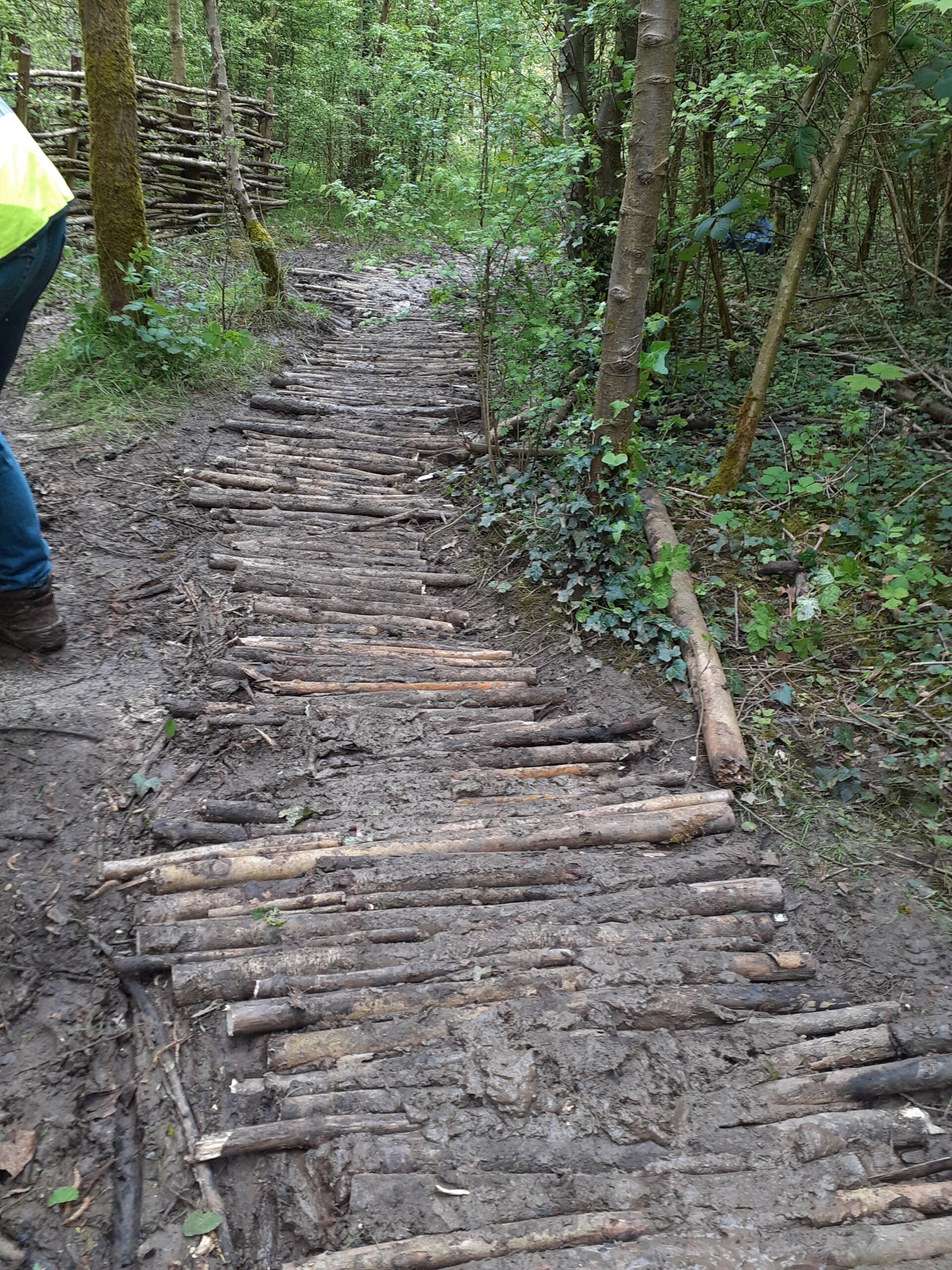 Projects – Chellaston Nature Reserve